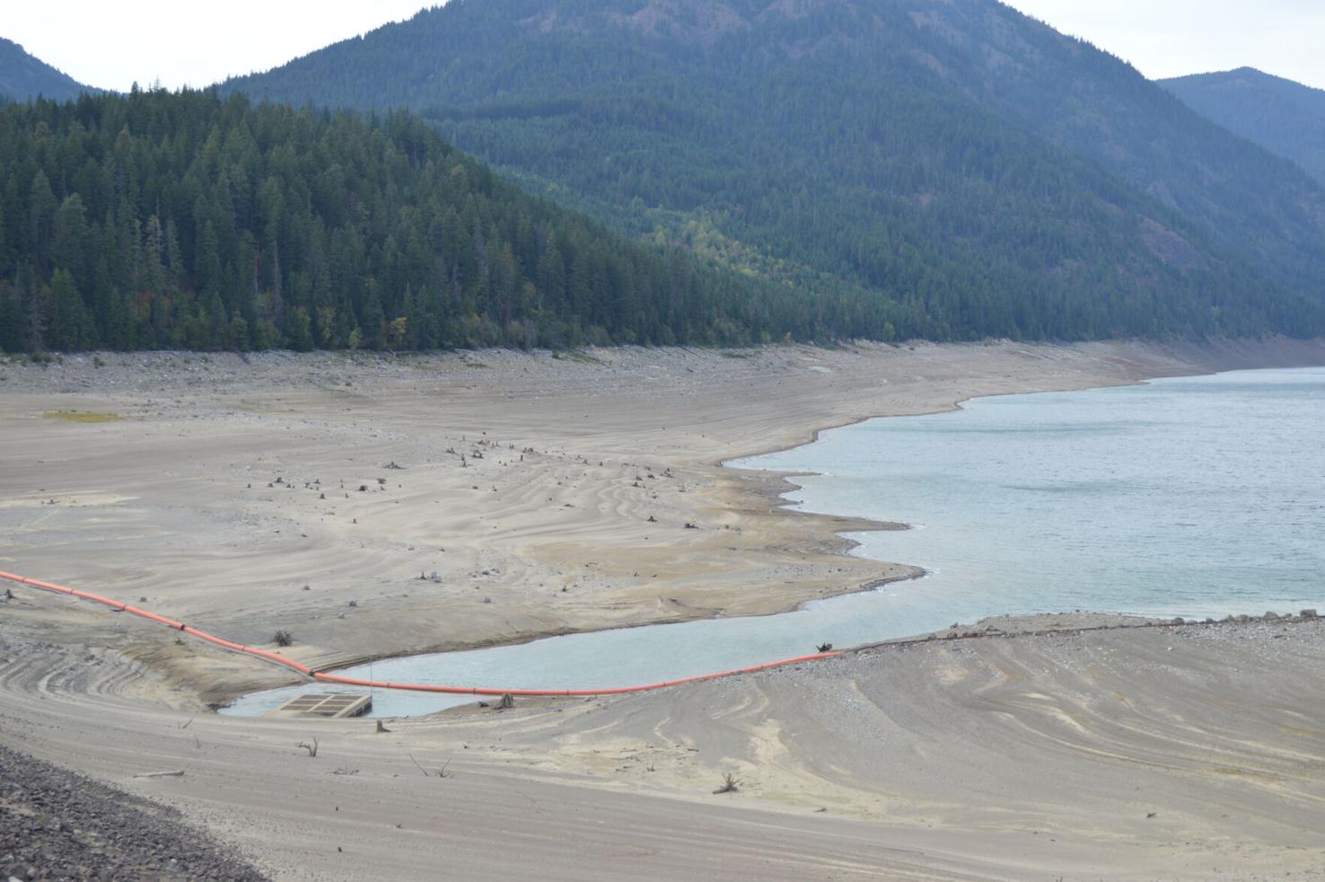 'This is unprecedented:' Ecology restricts surface water use in the ...