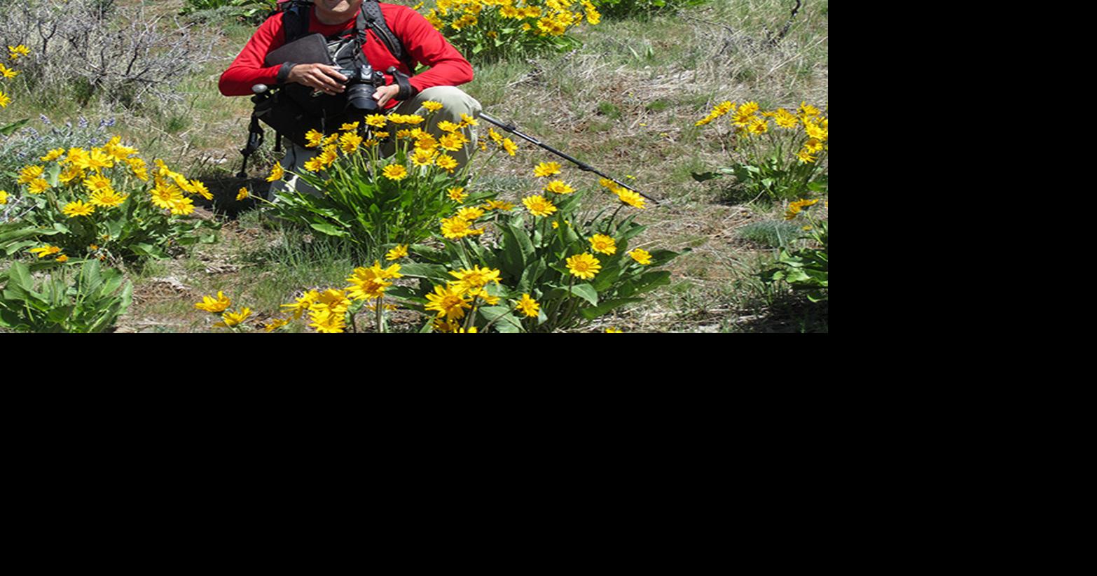 View finder: Alan Bauer has a passion for nature photography | Outdoors ...