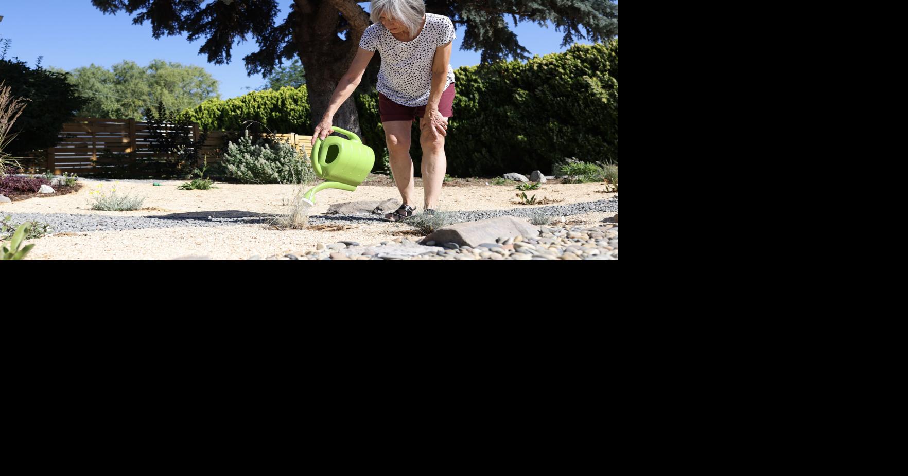 How to transform your lawn, save water and mow less in Central ...