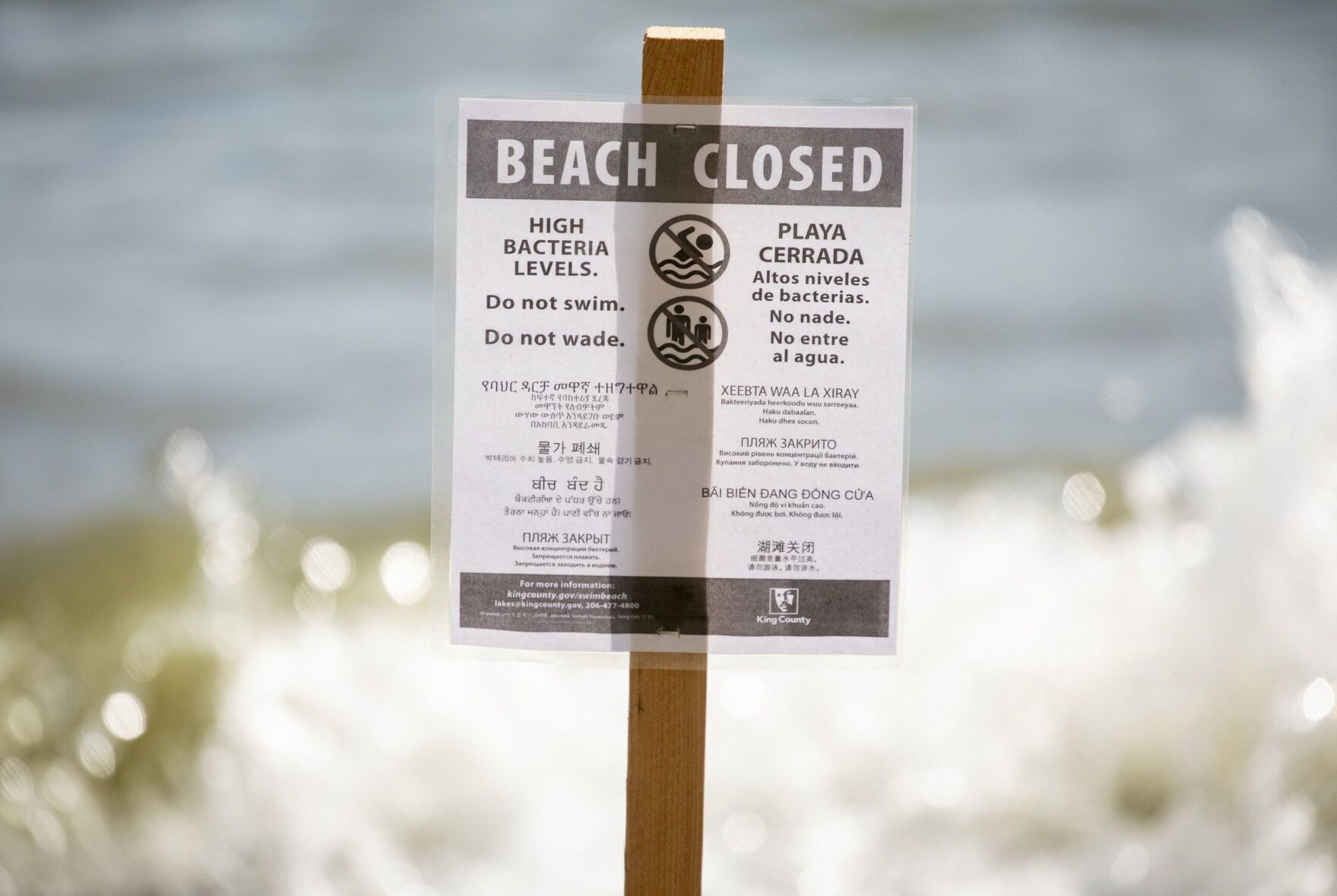 2 Lake Washington beaches closed after sewage spill | Northwest ...