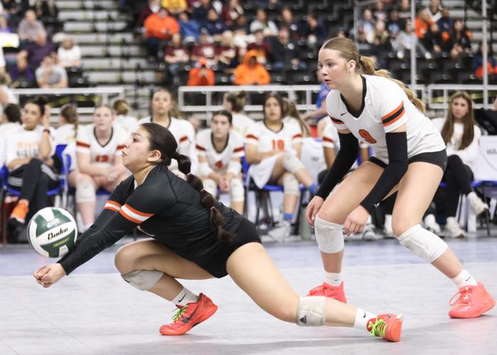 Davis volleyball narrowly misses upset of No. 1 Curtis in 4A ...