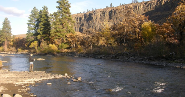 Tieton, Naches rivers and their tributaries offer underrated trout ...