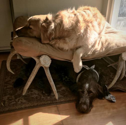 Ty Paxton | Art | yakimaherald.com