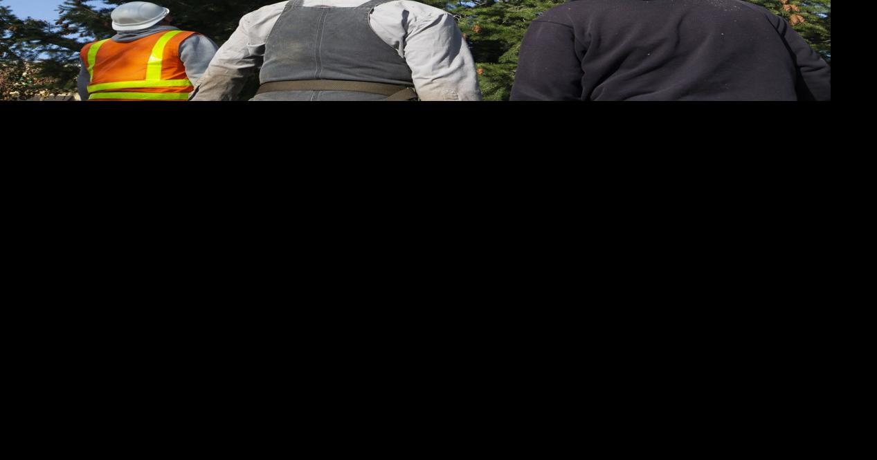 Ready for the holidays: 30-foot tree set up in downtown Yakima | Local ...