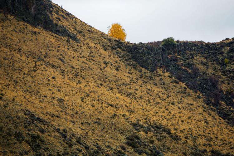 Photos: Autumn falls on the Yakima Valley | News Photos | yakimaherald.com