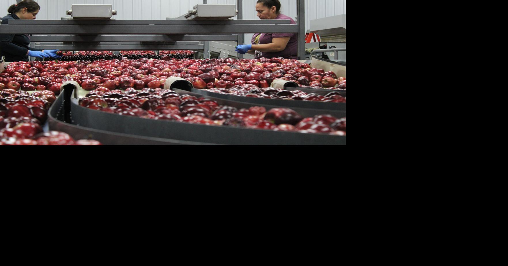 Even after 2 years of drought, Central WA's Roza Irrigation District ...