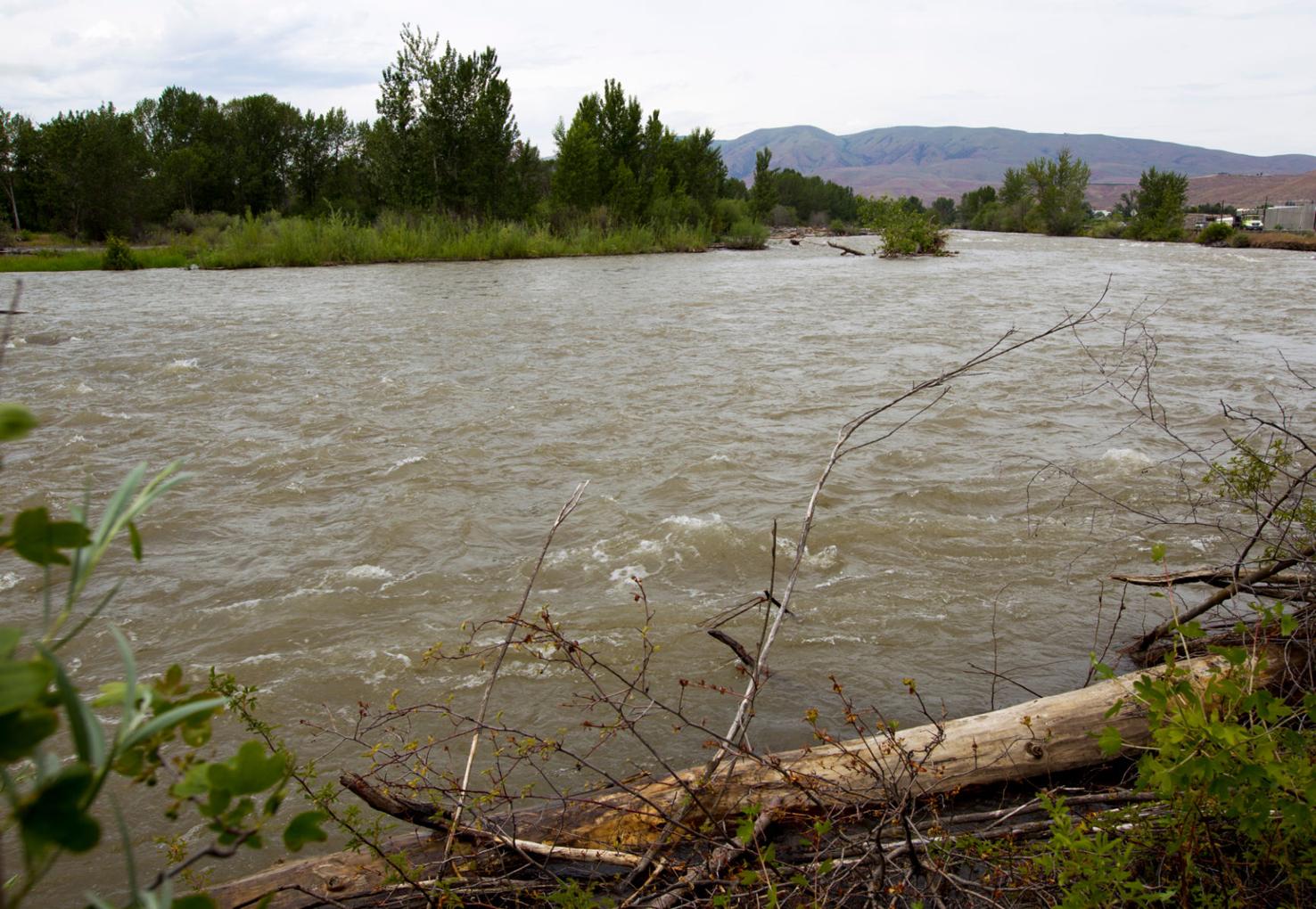 Naches River likely to hit flood stage soon; no danger expected | Local ...
