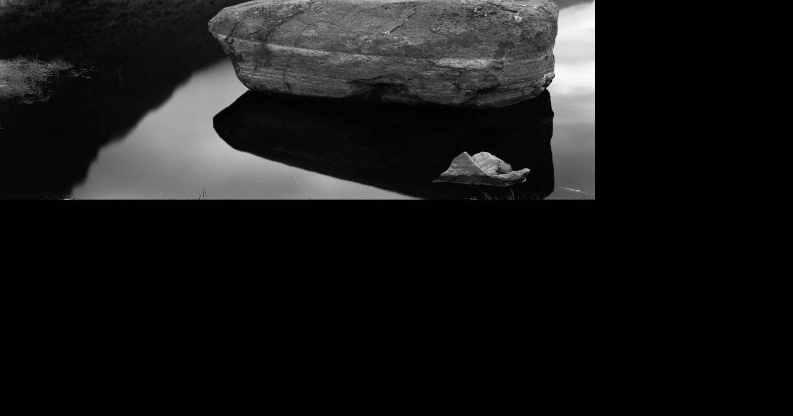 The Arts Scene: Two Northwest artists featured at Boxx Gallery | Arts ...