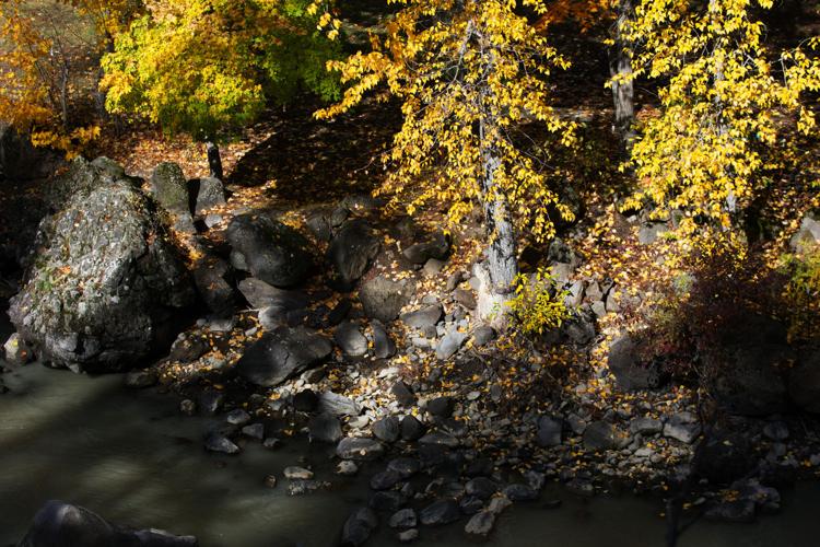 Photos: Autumn falls on the Yakima Valley | News Photos | yakimaherald.com