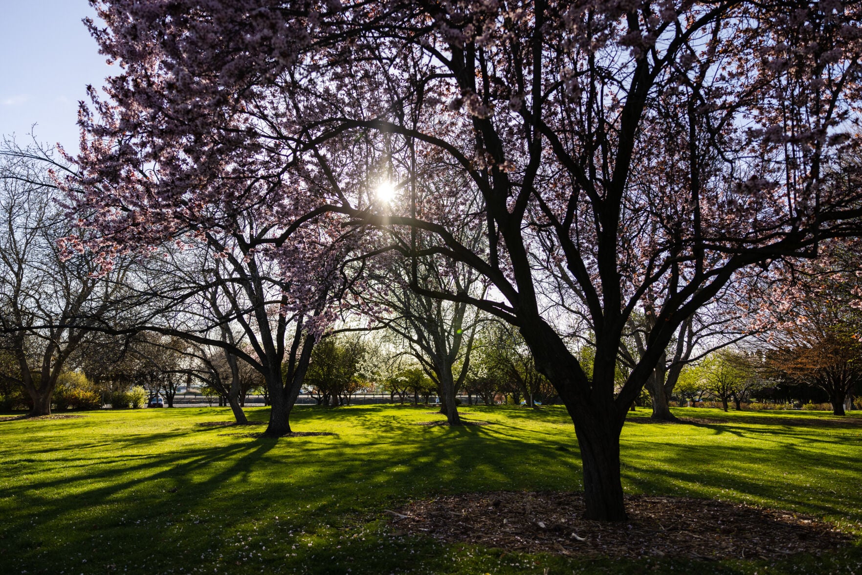 Yakima Valley weekend picks: Zillah Community Days, House Collective ...