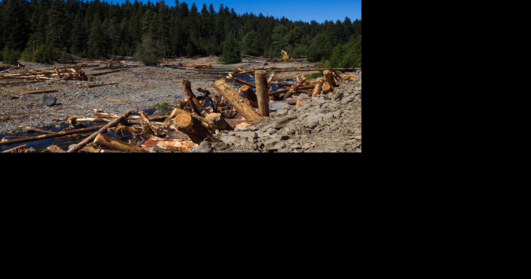 Little Naches restoration project nears completion, opening up new fish ...