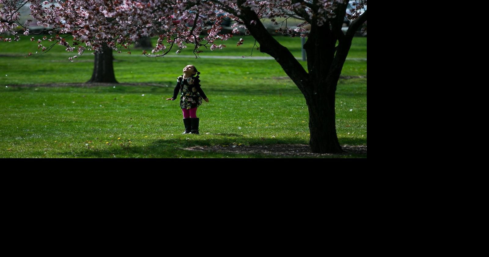 At the Library: Sensory nature walk is inclusive event for kids ...