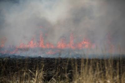 Prescribed burns to be conducted across Central Washington | Local ...