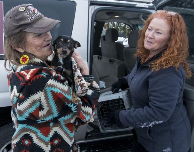 Bev Mitchell work with Lower Valley to rescue dogs | News Photos ...