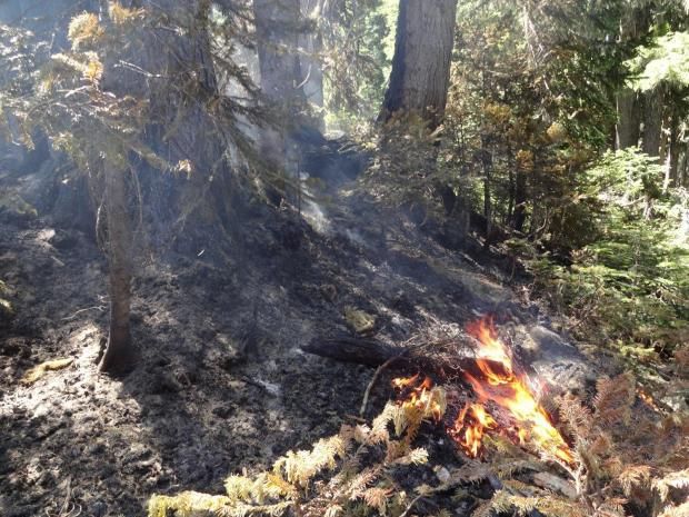 Fires in Mount Adams wilderness now 63 percent contained | Wildfires ...