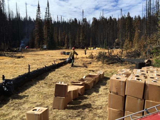 Fires in Mount Adams wilderness now 63 percent contained | Wildfires ...