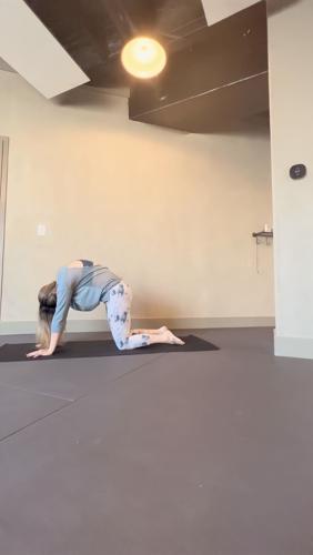 Yoga pose of the week: Cat/Cow | People And Pastimes | yakimaherald.com