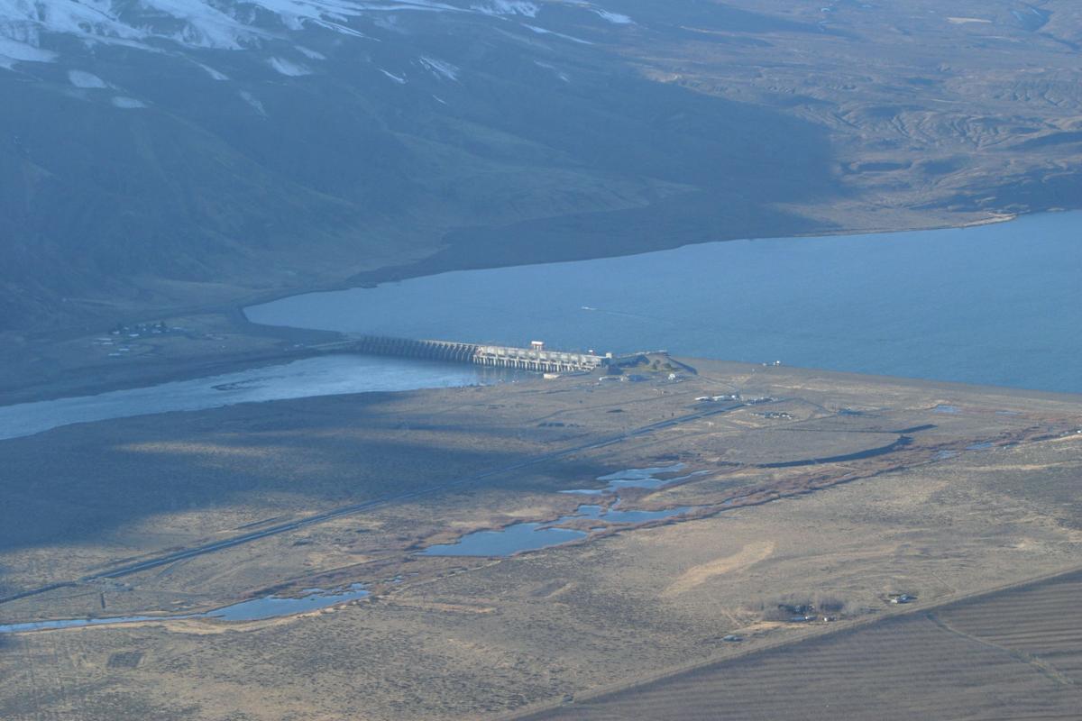 Priest Rapids Dam given green light | Local | yakimaherald.com