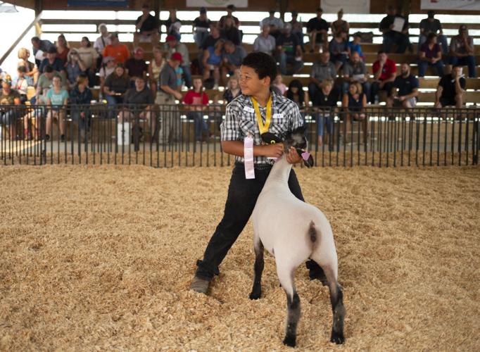 PHOTOS: Yakima Valley Fair in Grandview | Local | yakimaherald.com