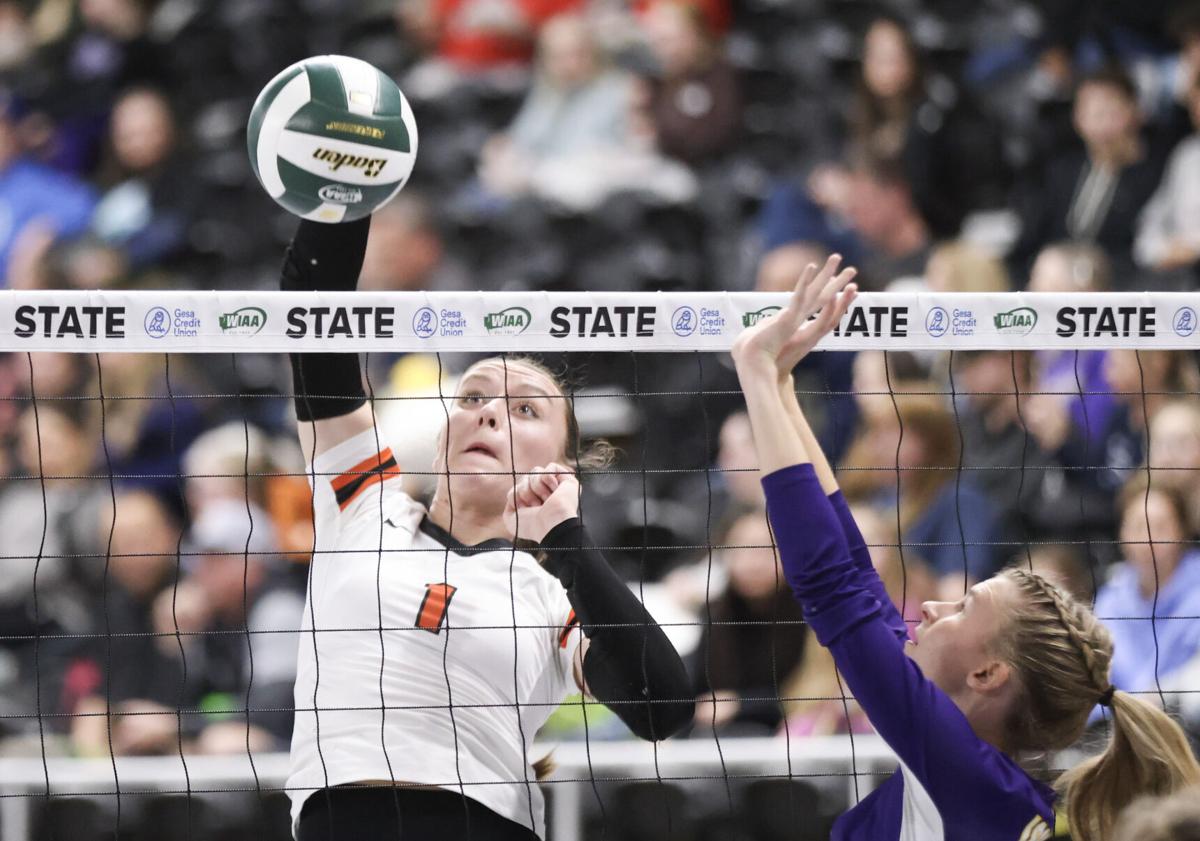 Local report: Davis graduate Kailey Willsey named GNAC's defensive ...