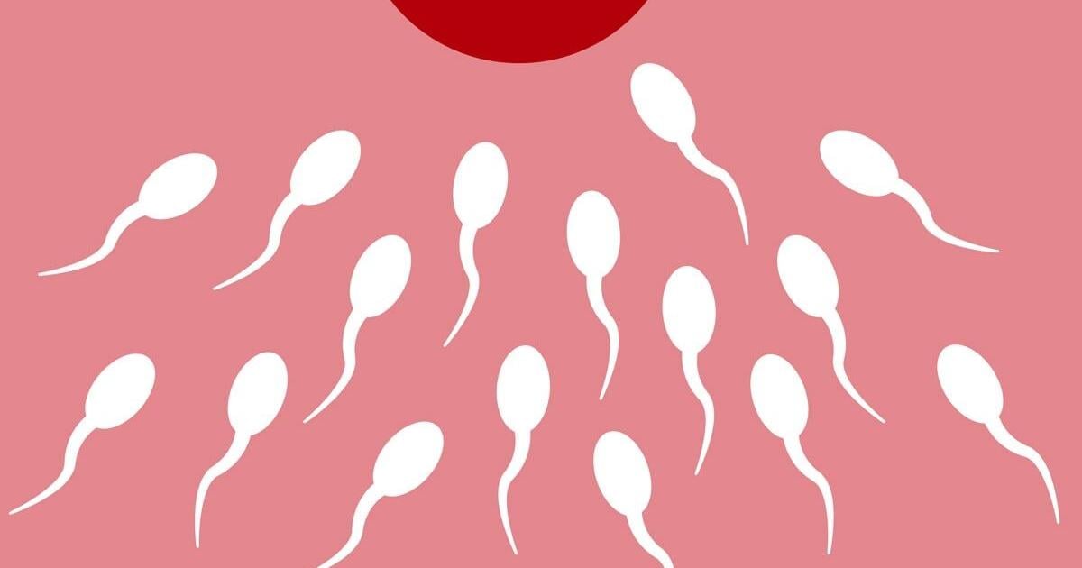 how does sperm donation work uk