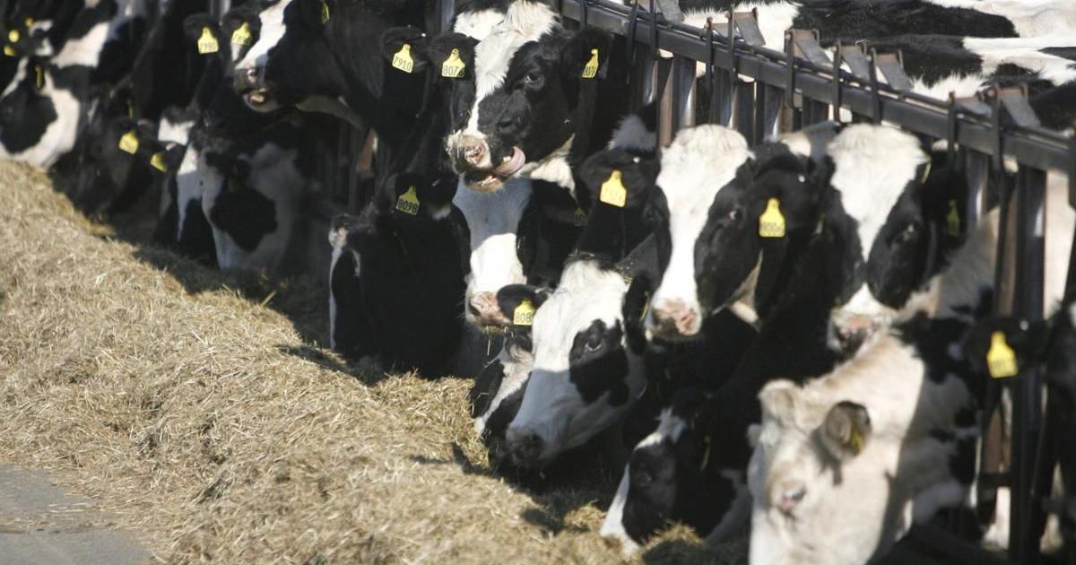 EPA files complaint against three Yakima Valley dairies | Local ...