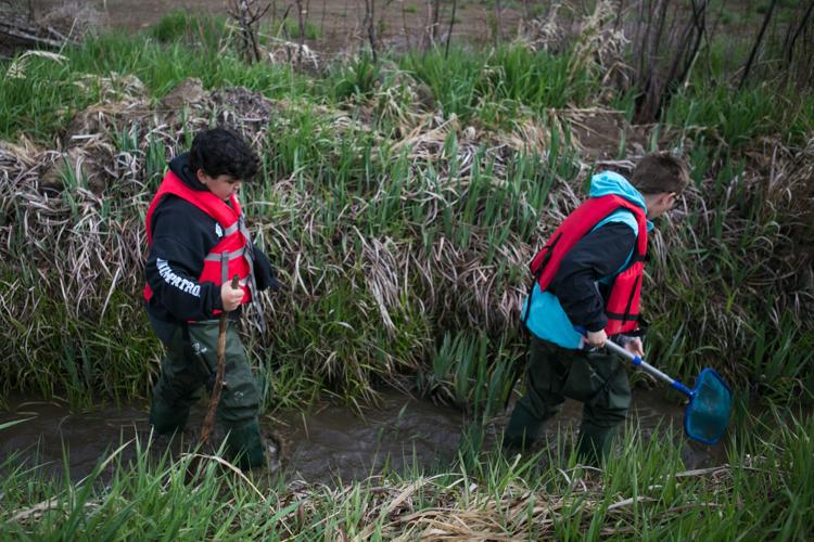 PHOTOS: Naches Valley Middle School students release salmon into the ...