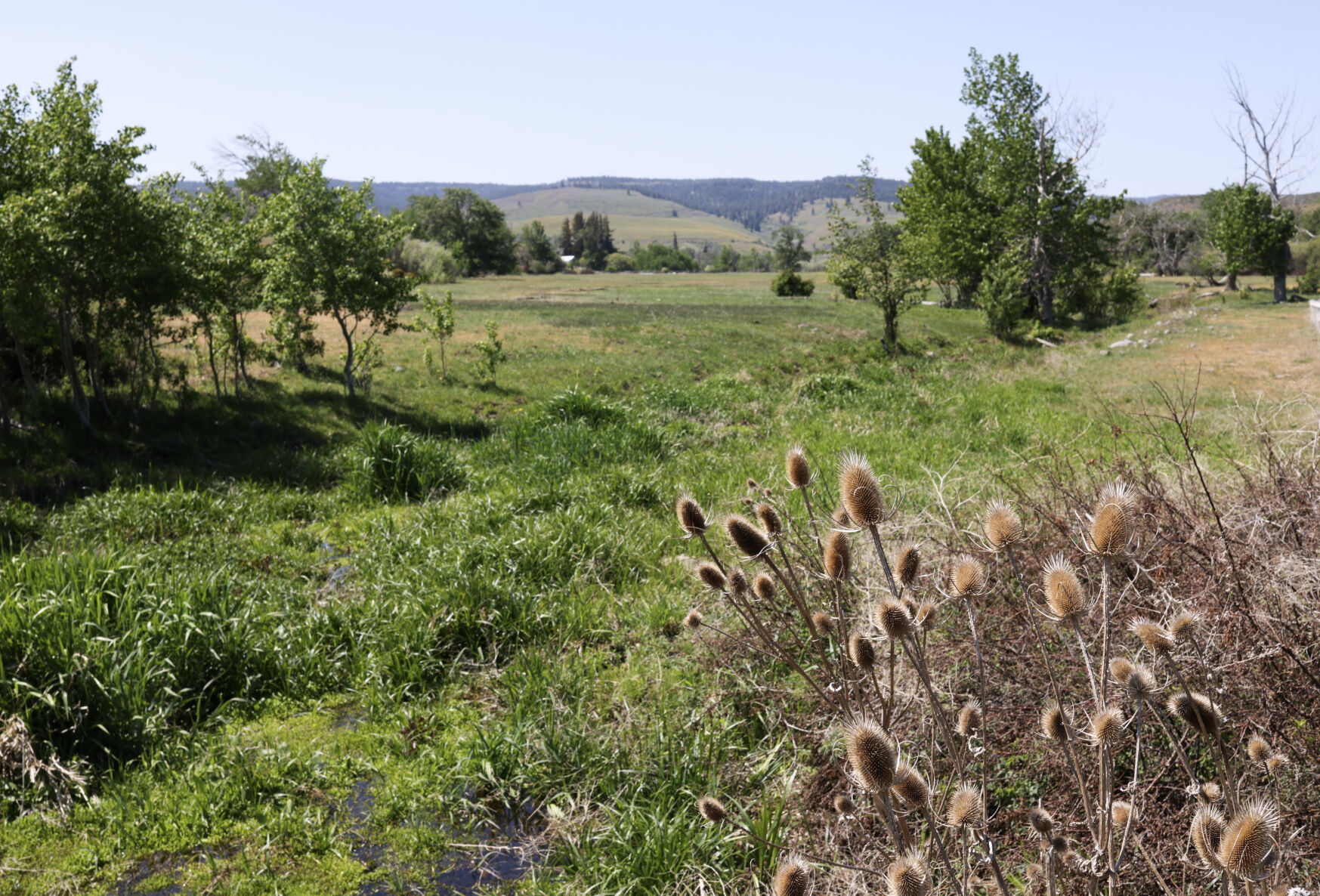 Water plan partners celebrate new Springwood Ranch project near Thorp ...