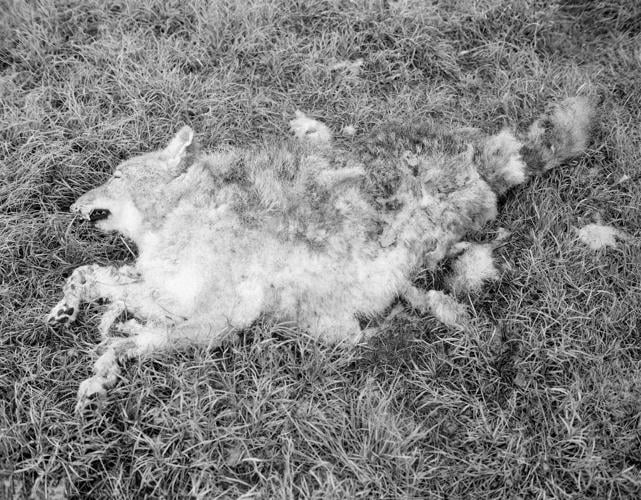 Chris Otten captures isolation, emptiness and identity in photos | Arts ...