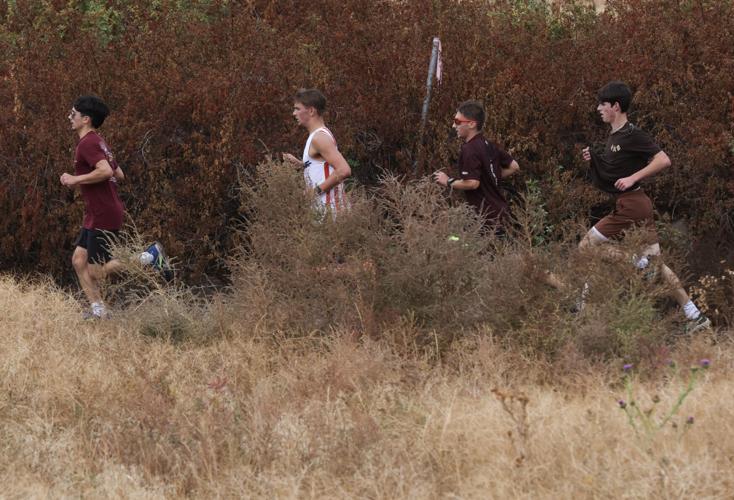 Naches Valley cross-country runners build their own course | Local ...