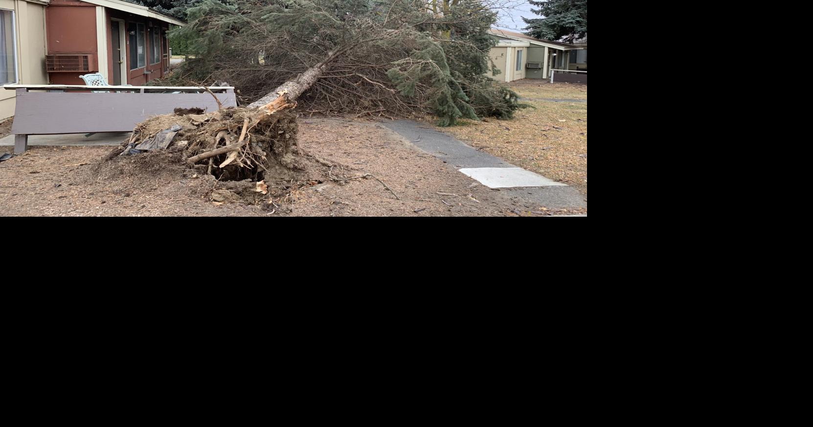 High winds topple trees, cause power outages; Solar panels blow off ...