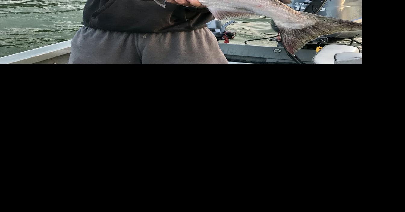Rob Phillips: Now is the time to land a big fall chinook on the mid ...