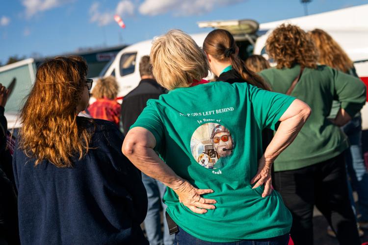 Shelter pets rescued by the revitalized Seuk’s Army in photos | Nation ...