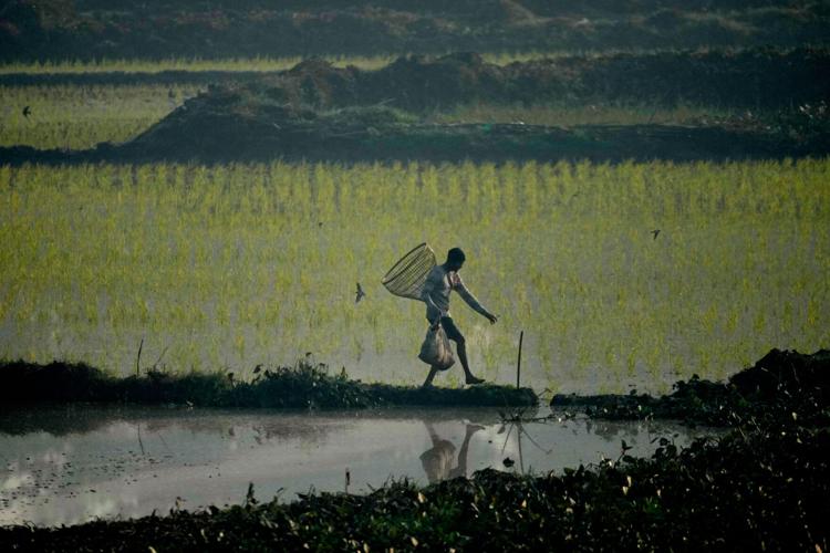Photos of a community catch in an Indian fishing village marking the ...