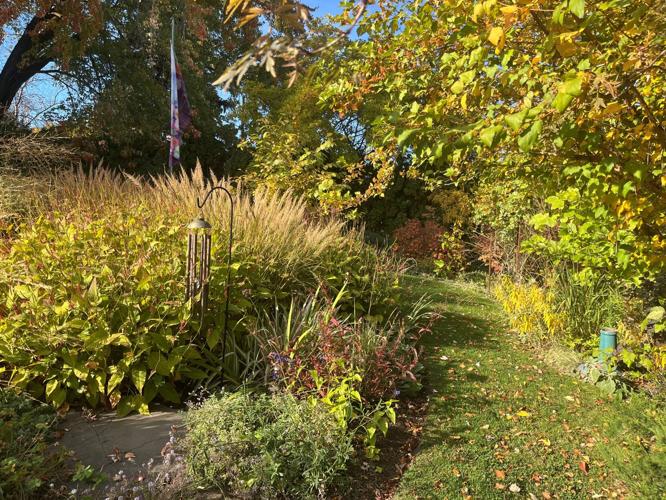 Barany In the Garden: Do more for pollinators by doing less in your ...