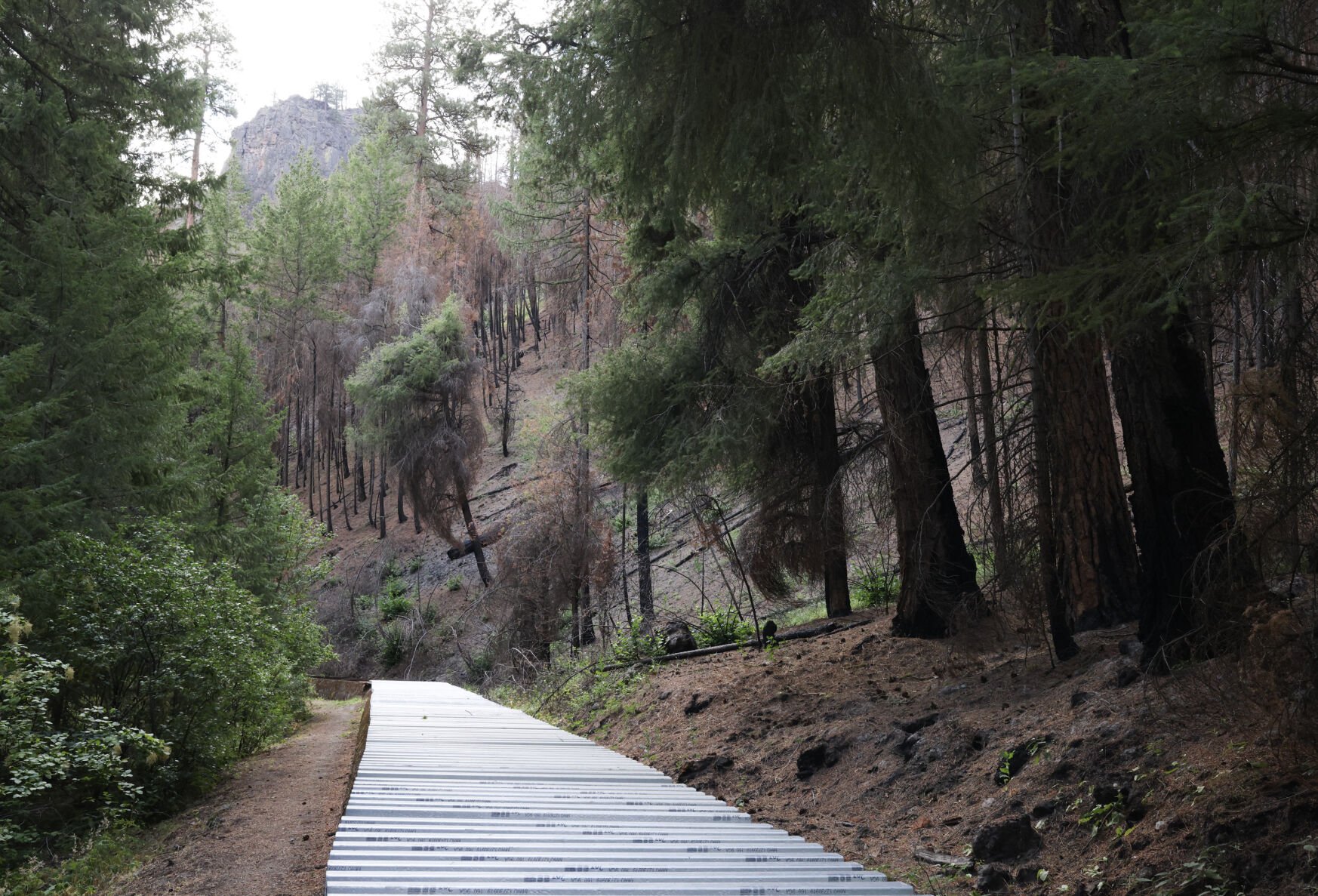 Rimrock community members thankful for support following Retreat Fire ...