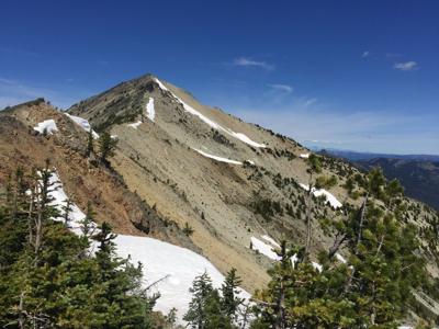 Notes: Exploring the great outdoors? Take a magazine along | Magazine ...