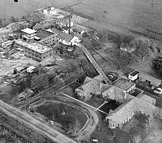 The story of Yakima's 'Diamond Tooth Lil' | Magazine | yakimaherald.com