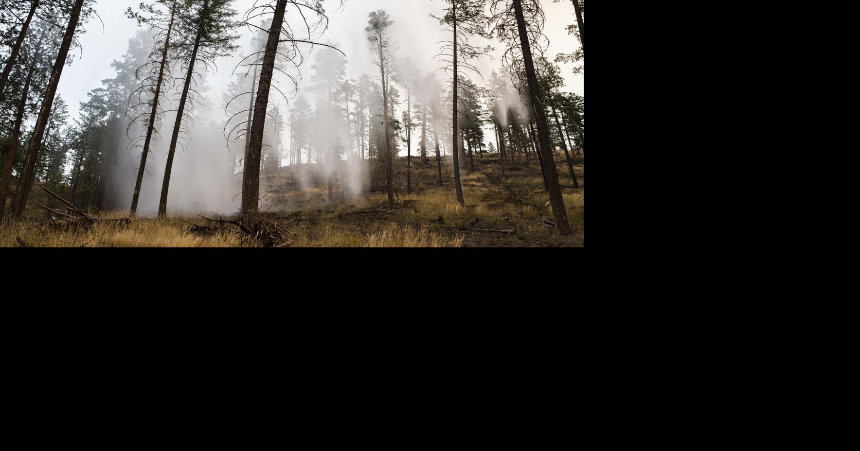 Small fire near Rimrock caused by escaped campfire; officials ask ...