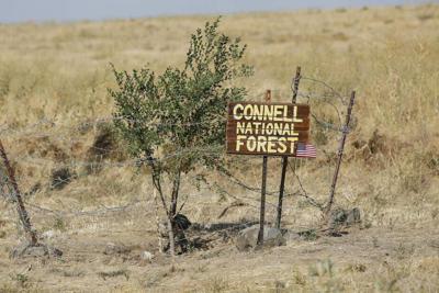 Wildfire scorches 5,000 acres near Connell; misses local landmark ...