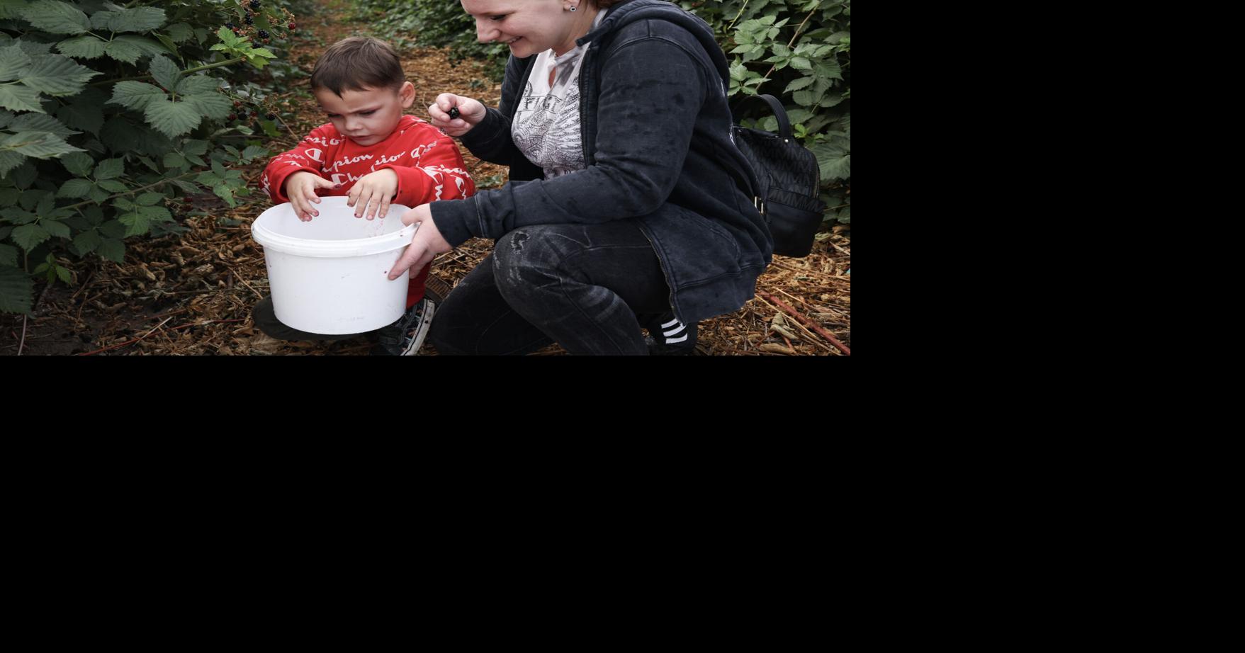 Ideas to savor fall in the Yakima Valley from a local expert | East Of ...