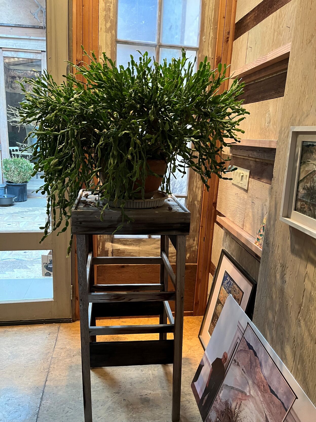 Barany in the Garden: Art and houseplants adorn Leo Adams' home | Home ...