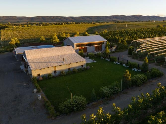 At Gilbert Cellars, women are rewriting the story | Women In Business ...