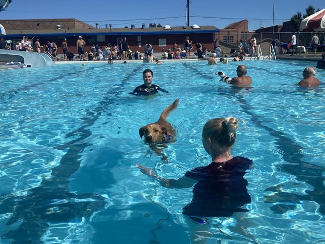 Wet fur and happy barks as dogs take over Franklin Pool in Yakima ...