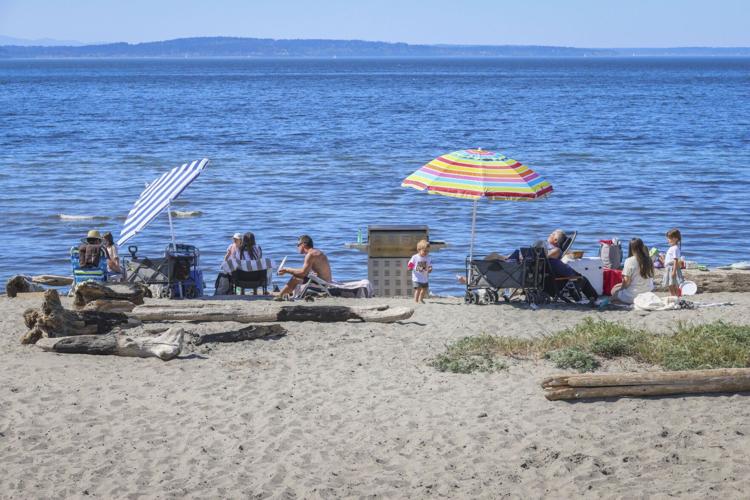 Impress visitors with this half-day tour of Seattle’s top photo-ops ...