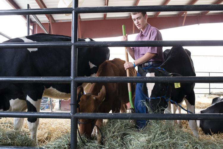 PHOTOS: Yakima Valley Fair in Grandview | Local | yakimaherald.com