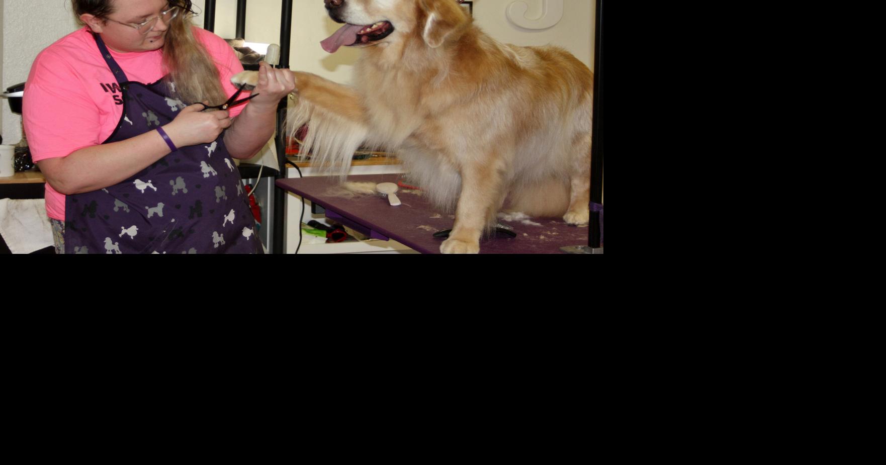 In rough economic times, Diamond in the Ruff opens for dog grooming ...