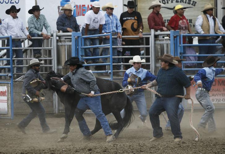 2015 Wiley City Rodeo | News Photos | yakimaherald.com