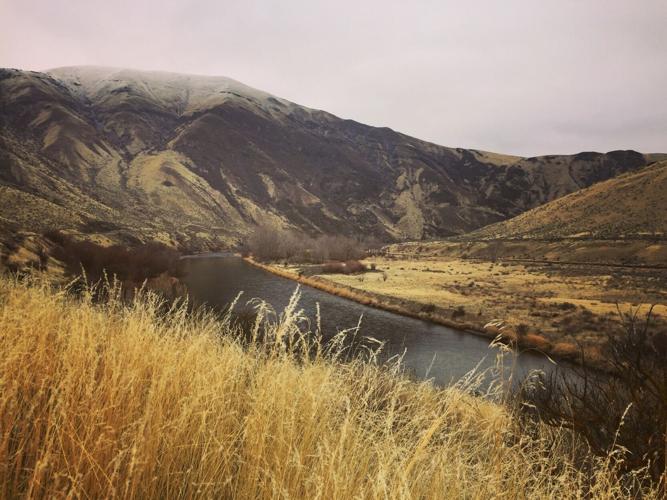 Wandering Central Washington: What’s in a grass? | Adventures ...