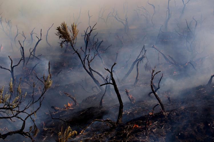 Photos: Brush fire in Selah threatens homes | News Photos ...